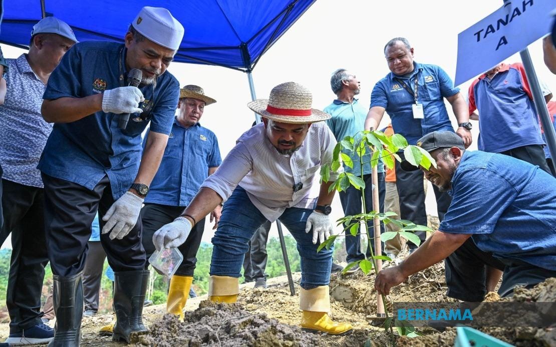RISDA saran pemilik tanah sertai tanaman semula getah berkelompok ...